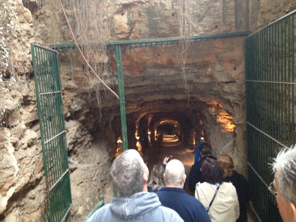 Day Trip To A Distant Past: Inner Space Caverns - The Austinot