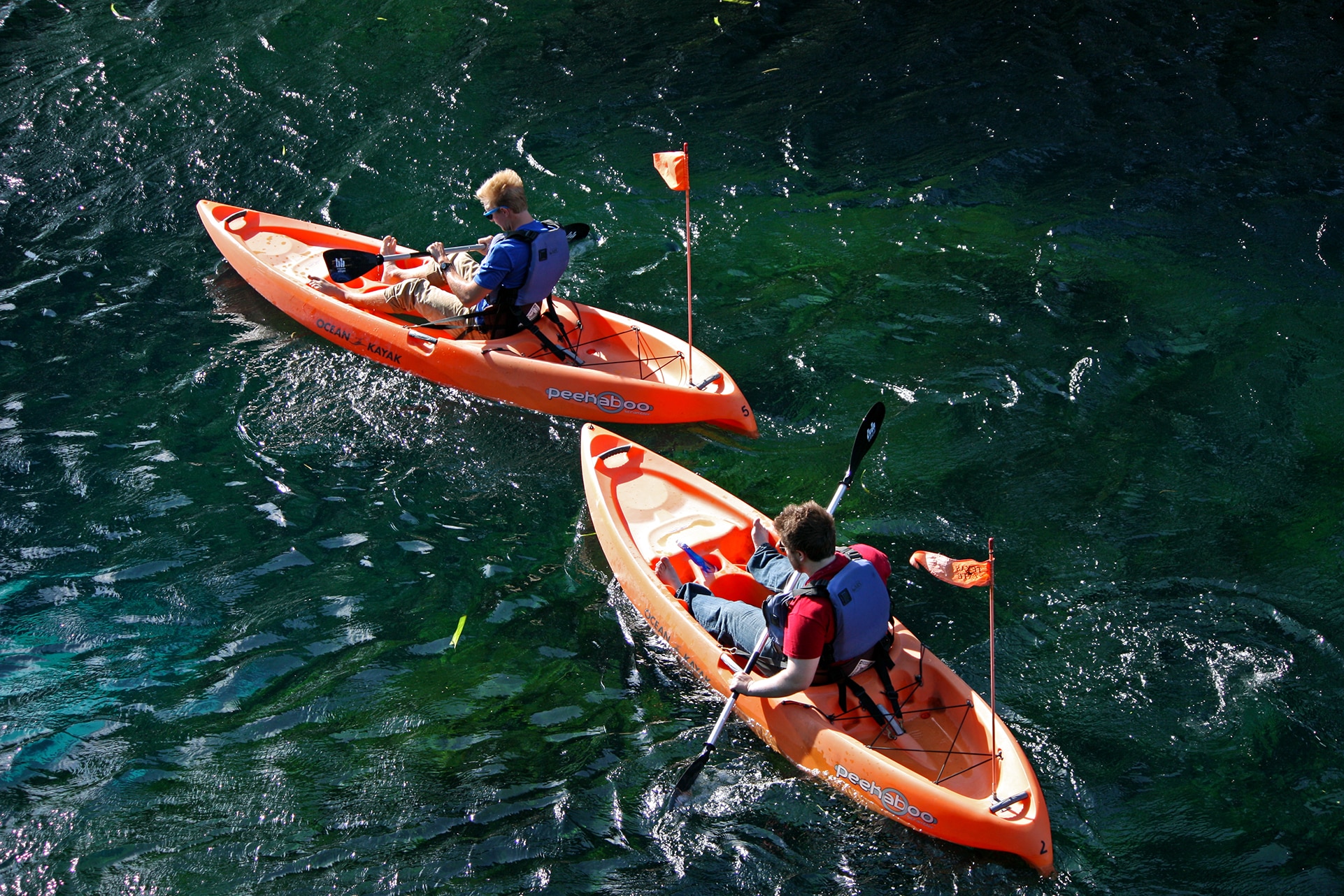 Uncommon Day Trip: Glass Bottom Kayaks In San Marcos - The Austinot