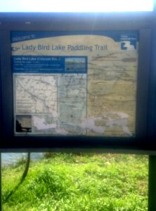 Make Lady Bird Lake's Eastside Loop Your Go-To Route - The Austinot