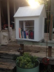 Little Free Library Makes Books Accessible Along Austin Roadsides - The ...