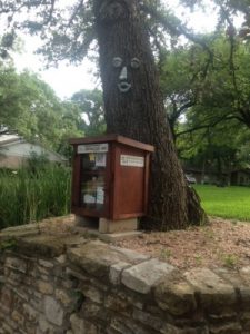Little Free Library Makes Books Accessible Along Austin Roadsides - The ...