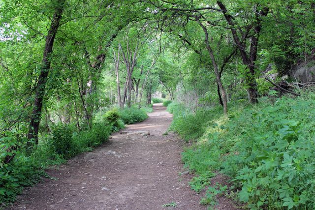 Step By Step Guide To Austin's Long Anticipated Violet Crown Trail ...