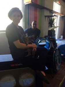 Inside Look Into Austin's Blue Cat Cafe - The Austinot