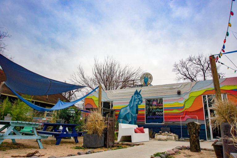 5 Fun Things To Do With Animals In Austin - The Austinot