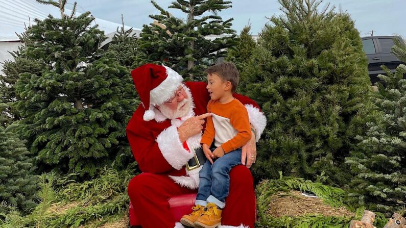 Best Christmas Tree Farm Austin Guide (2025 Update)